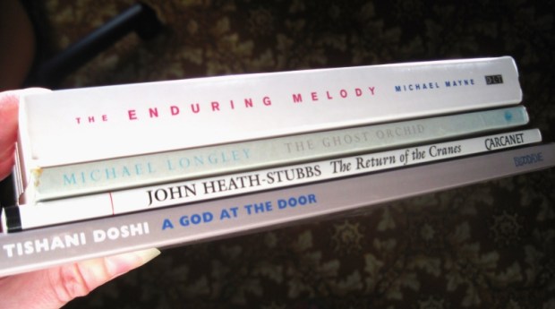 Making Plans for a Return to Hay-on-Wye & A Book “Overhaul” | Bookish Beck