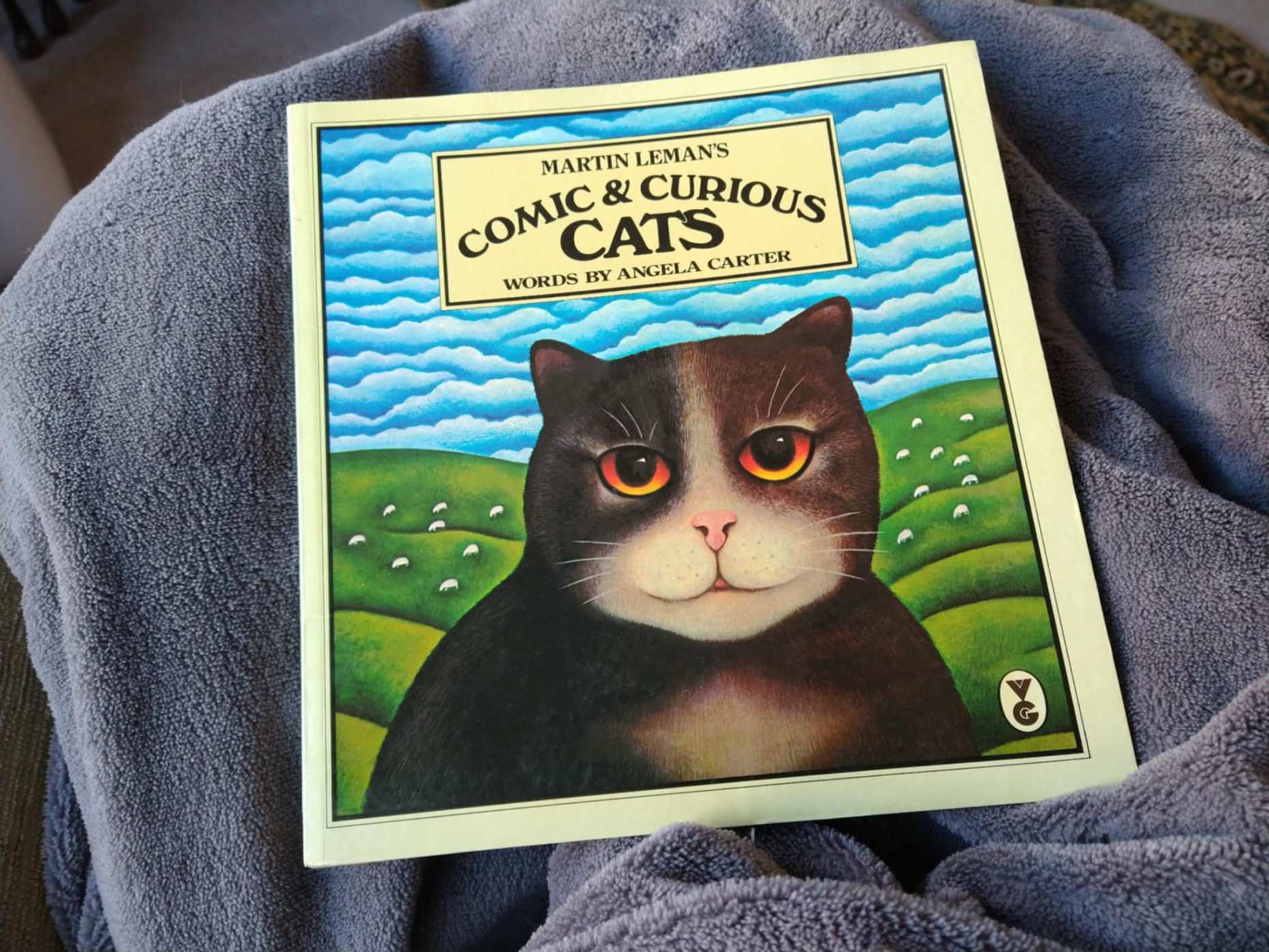 comic and curious cats | Bookish Beck