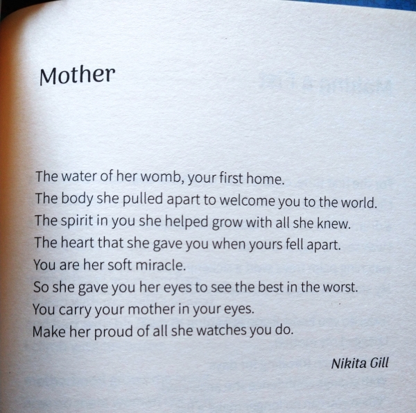 Three on a Theme for Mother’s Day: Baker, Diski and Sampson | Bookish Beck